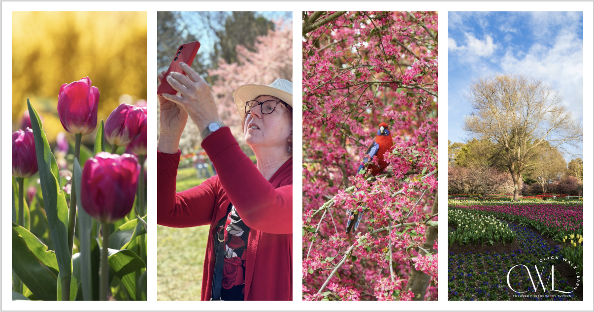 Just released!! BEGINNER & SMARTPHONE Photography Workshops @Tulip Top ...